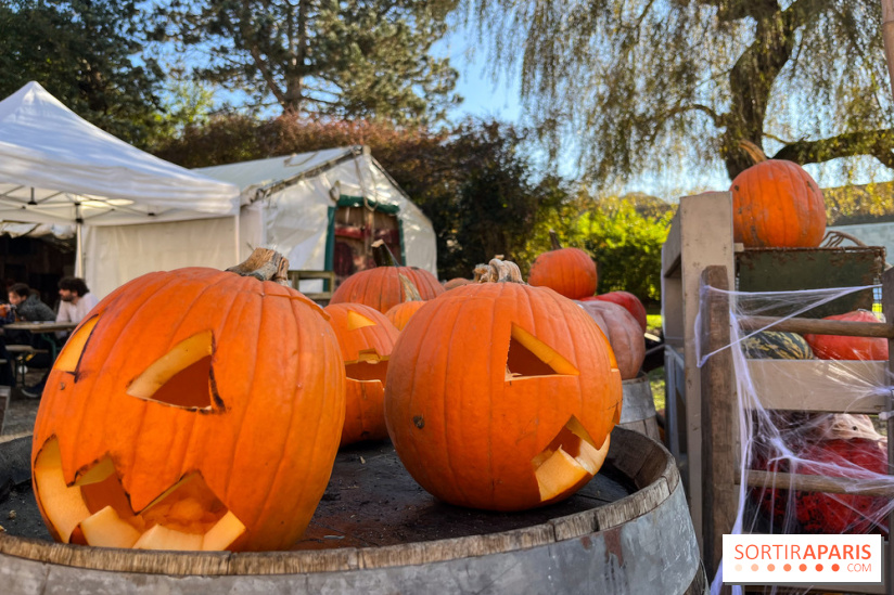 Halloween 2025 : Fête de la Citrouille à Saint-Cyr l'Ecole (78), grande ...