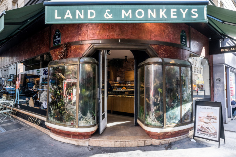 Land&Monkeys : la première boulangerie-pâtisserie 100% végétale de Paris - Sortiraparis.com