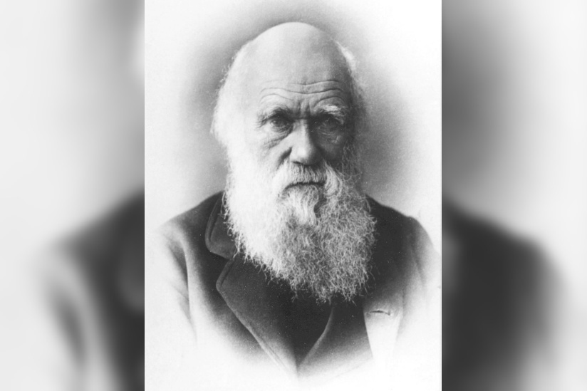 Darwin, l'exposition à la Cité des Sciences - Sortiraparis.com