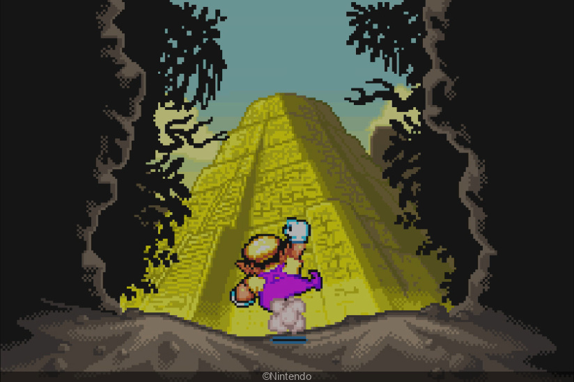 Wario gba store