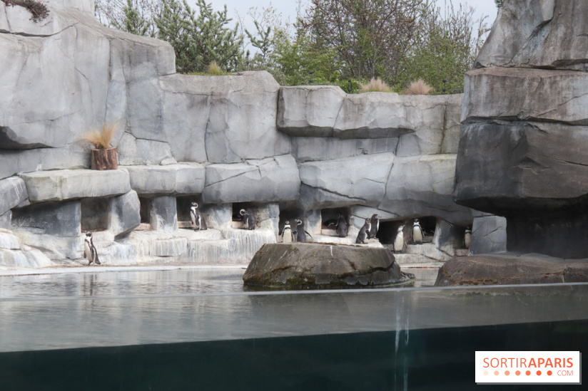 Big festive weekend at Paris zoo - Sortiraparis.com