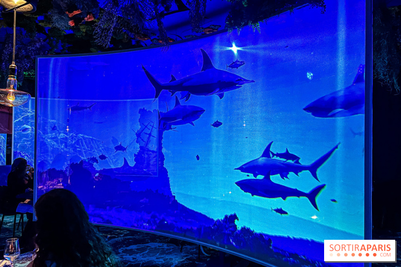Under the Sea, le premier restaurant immersif de Paris signé Ephemera ... Under the Sea, le premier restaurant immersif de Paris signé Ephemera ...