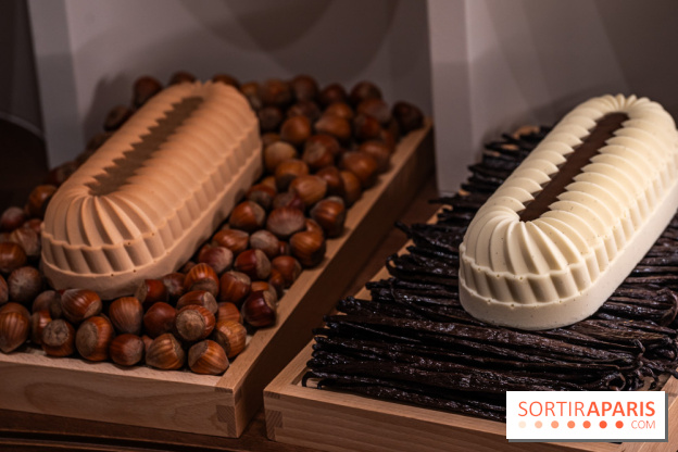 The first Yule logs from Pleincœur, Maxime Frédéric's bakery and ...