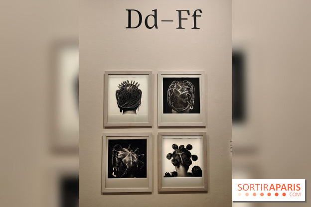 La photographie en toutes lettres, un abécédaire artistique en ...