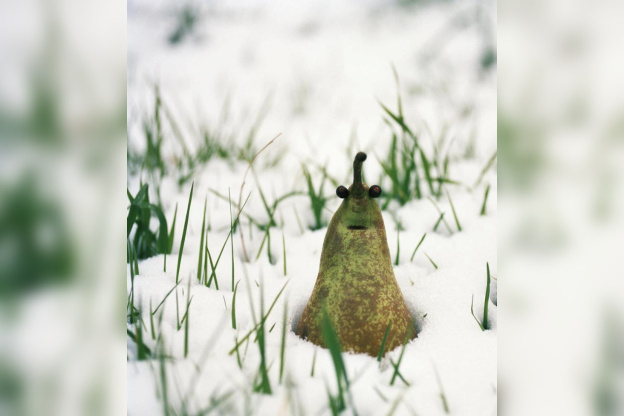 Les Fruits de mon Imagination, l'expo photo à Bercy Village ...