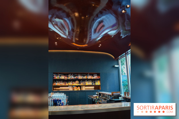 Roxo: the new restaurant and cocktail bar at Les Bains Paris ...