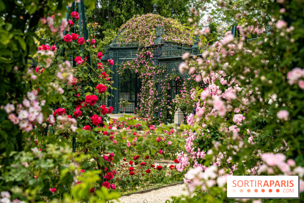 The Roseraie Du Val de Marne At L Ha les Roses The World s First Rose