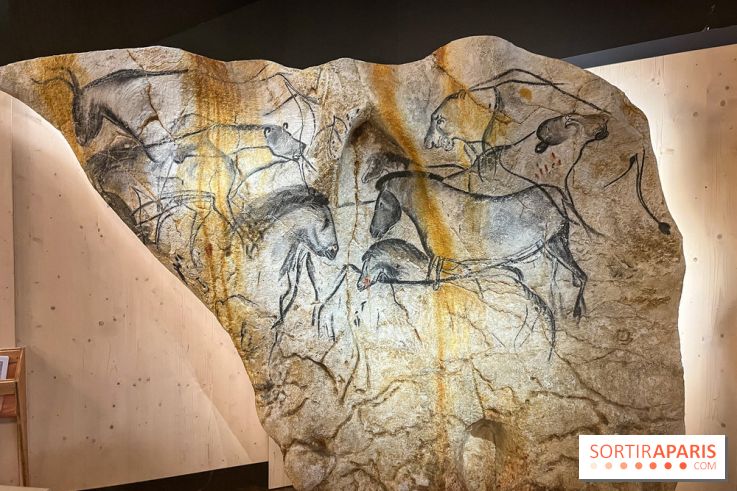 Grotte Chauvet, l'aventure scientifique : plongez dans l'art préhistorique avec la Cité des ...