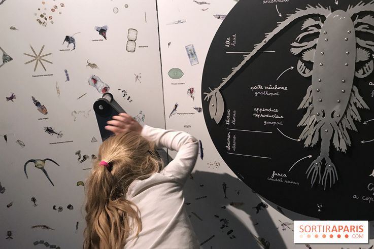 L'Aquarium Tropical propose sa nouvelle expo pour enfants CYCLOPS ...