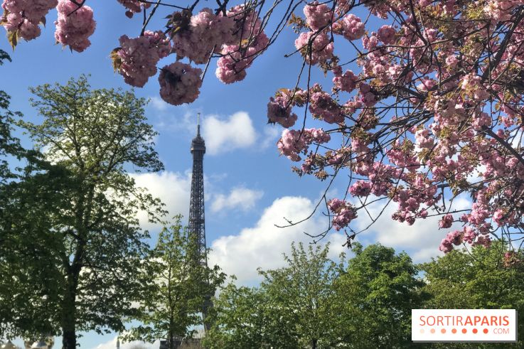 Équinoxe de printemps 2025 : à quoi cela correspond-il et pourquoi démarre-t-il ce 20 mars ...