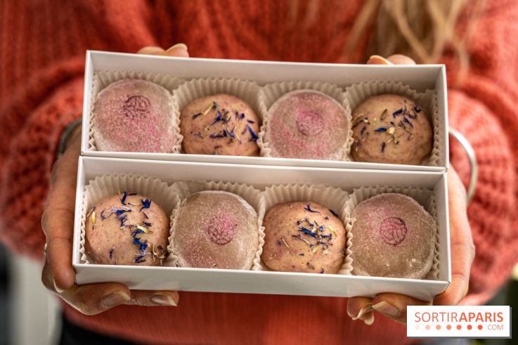 Hanami: Where to eat sakura pastries in Paris? - Sortiraparis.com