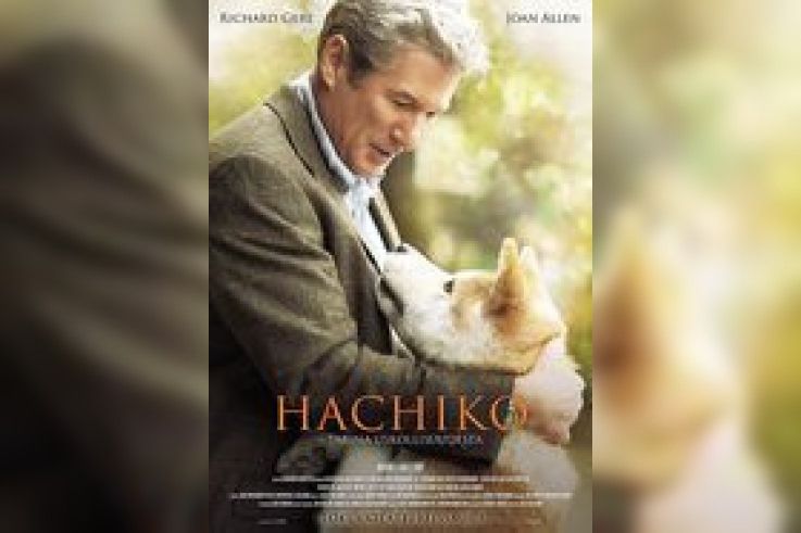 Hatchi - Cinéma - Sortiraparis.com
