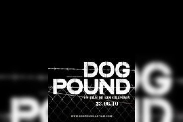 Dog pound - Sortiraparis.com