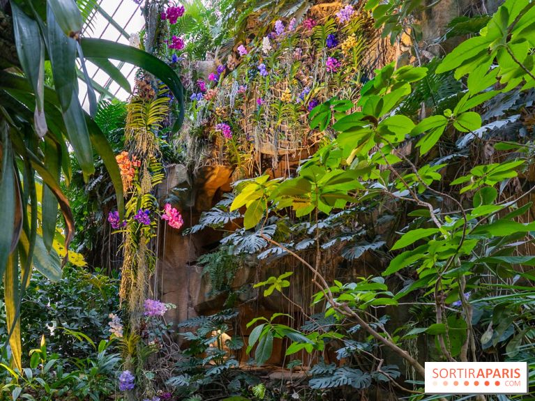 Album Photos 1001 Orchidées 2024, les photos de l'exposition florale ...