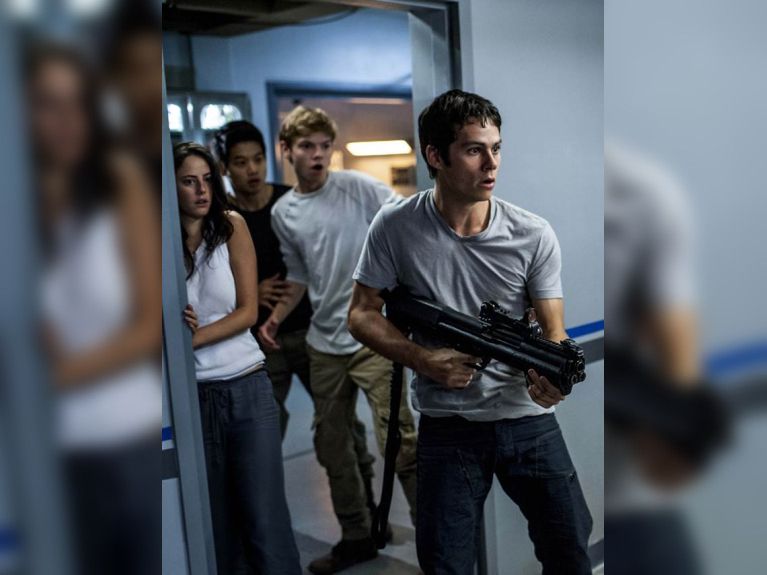 Album Photos Le Labyrinthe 2