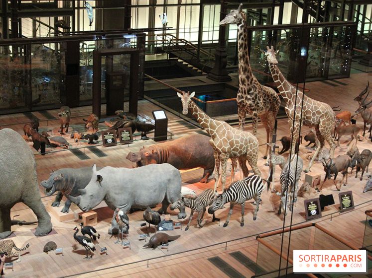 Historia y patrimonio: todo lo que debe saber sobre París e Île-de-France