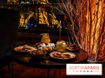 Le Skybar rooftop, le plus haut bar à ciel ouvert de Paris ...