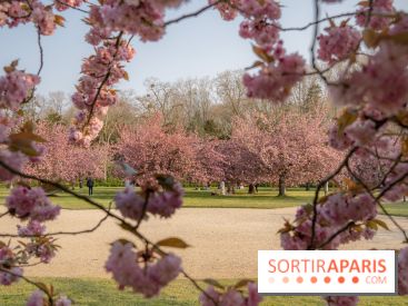 Festi-Orient 2025, le festival au cœur de la culture orientale de ...