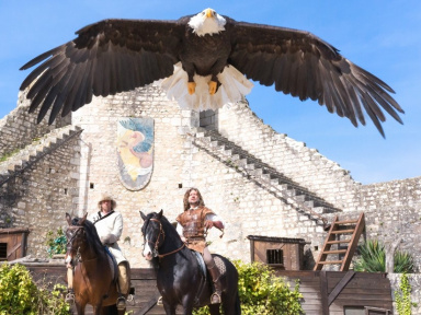 Les Aigles des Remparts de Provins, le spectacle de fauconnerie dans la ...