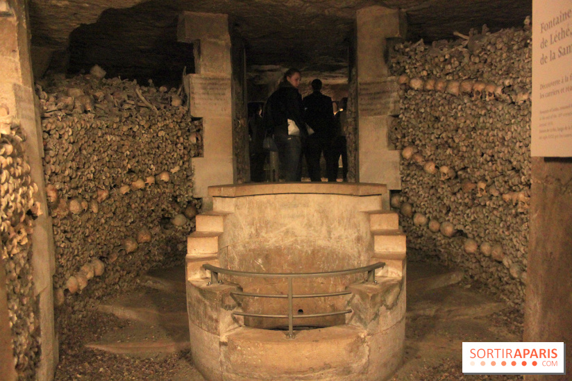 Catacombes de Paris : un programme de restauration historique jusqu'en ...