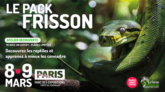 Paris Animal Show 2025: the show for your pet's well-being ...