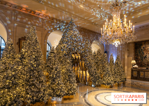 Top 15 de los árboles de Navidad más bonitos de París 2024: suficiente para que te brillen los ...