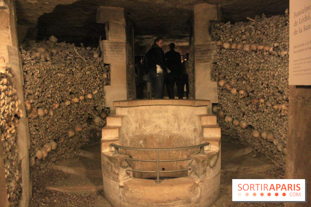 Catacombes de Paris : un programme de restauration historique jusqu'en ...