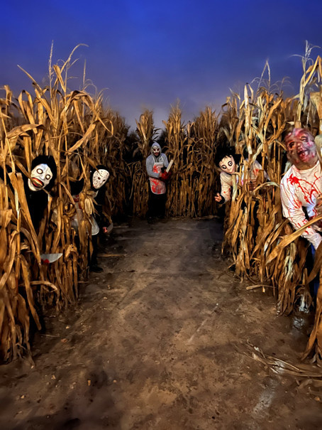 Pop Corn Labyrinthe Essonne: a giant maze in a cornfield at Marcoussis ...