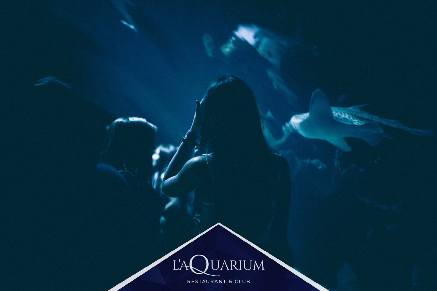 AQUARIUM'UN YENİ YIL TURU EIFFEL 2024: EIFFEL KULESİ'NİN DİPLERİNDE ...