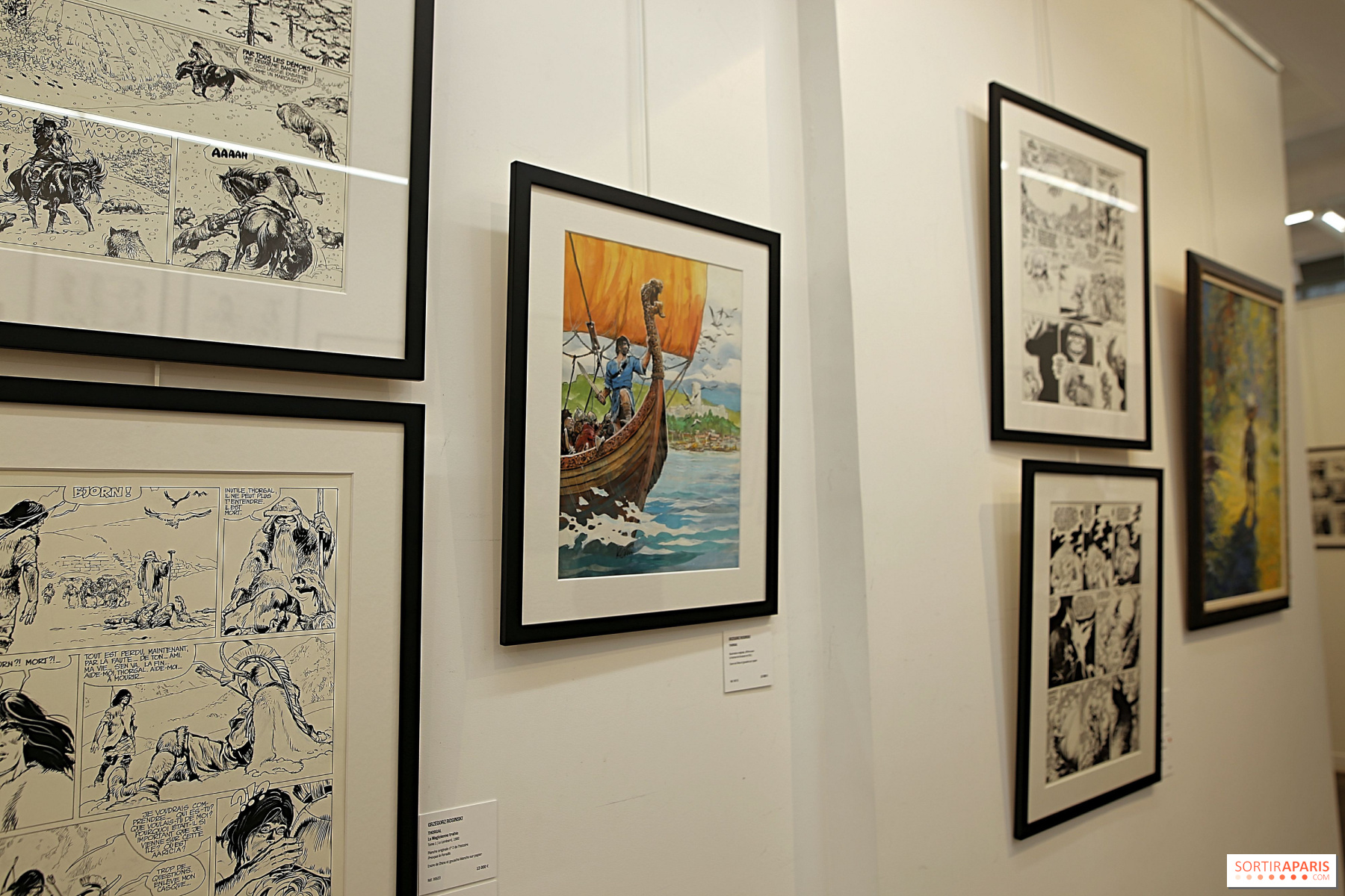 Rétrospective Rosinski / Thorgal : l'exposition gratuite à la galerie Daniel Maghen, nos photos ...