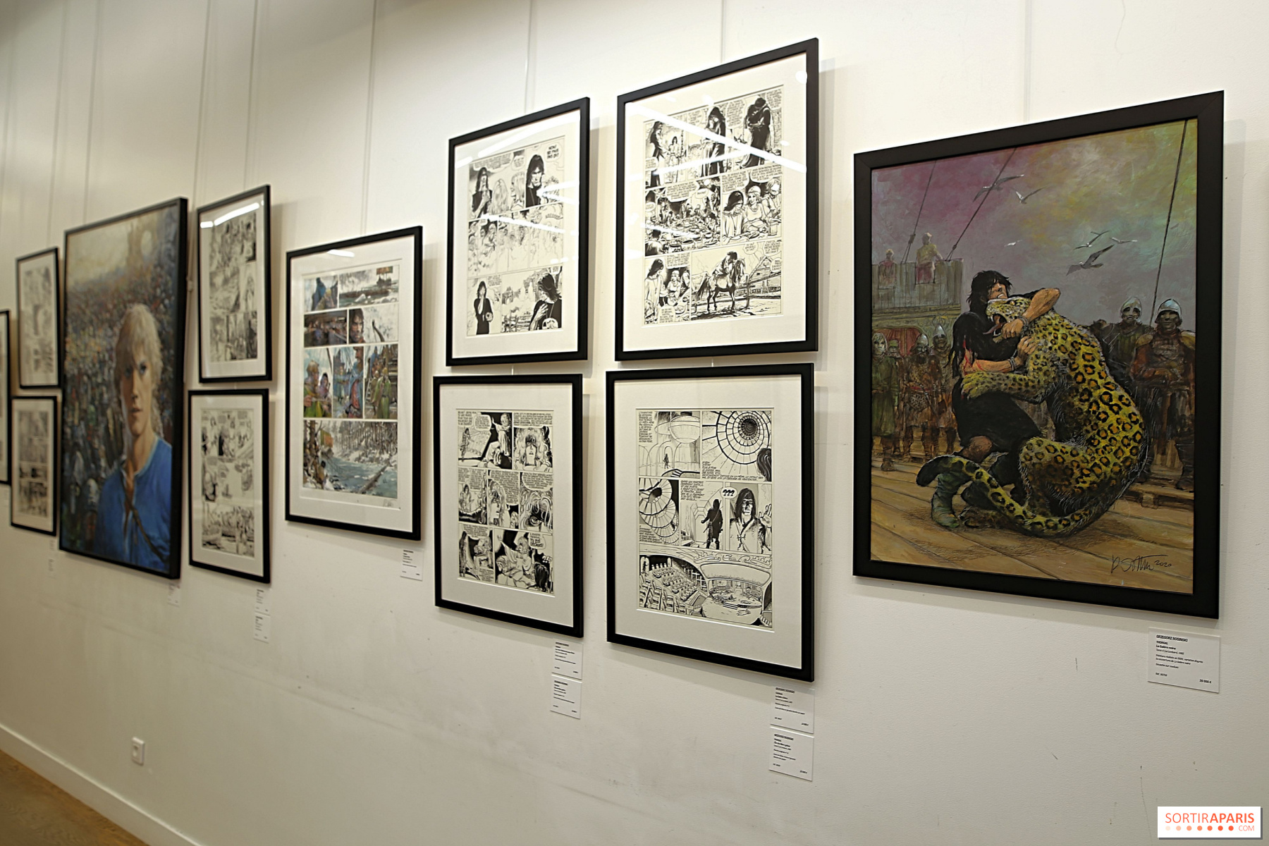 Rétrospective Rosinski / Thorgal : l'exposition gratuite à la galerie Daniel Maghen, nos photos ...