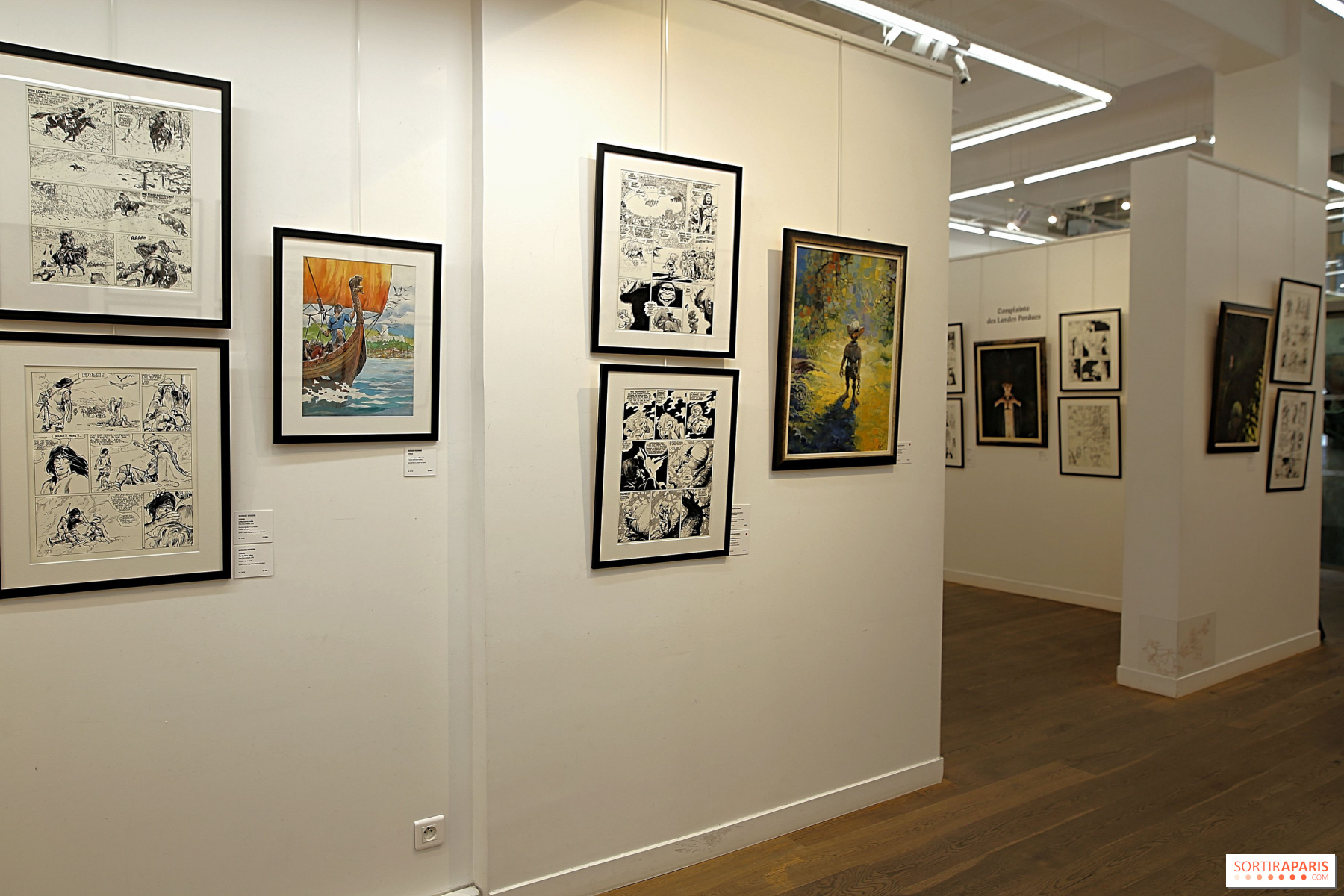 Rétrospective Rosinski / Thorgal : l'exposition gratuite à la galerie Daniel Maghen, nos photos ...