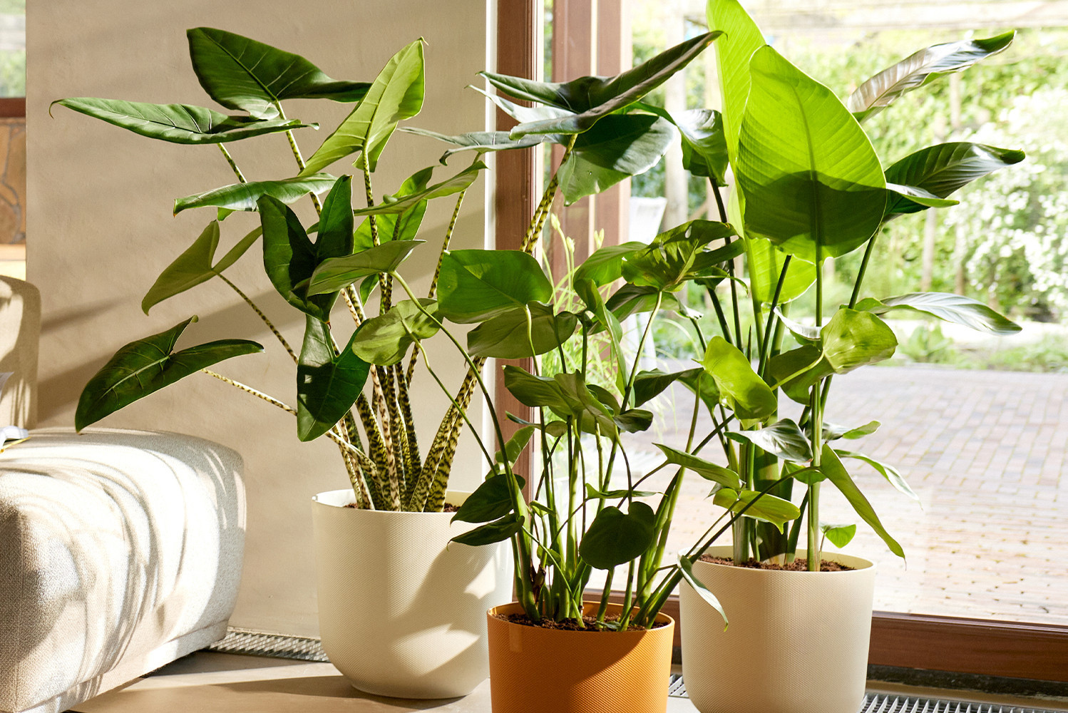 elho x Truffaut ポップアップ：マレ地区の中心で植物とデザインが出会うとき - Sortiraparis.com