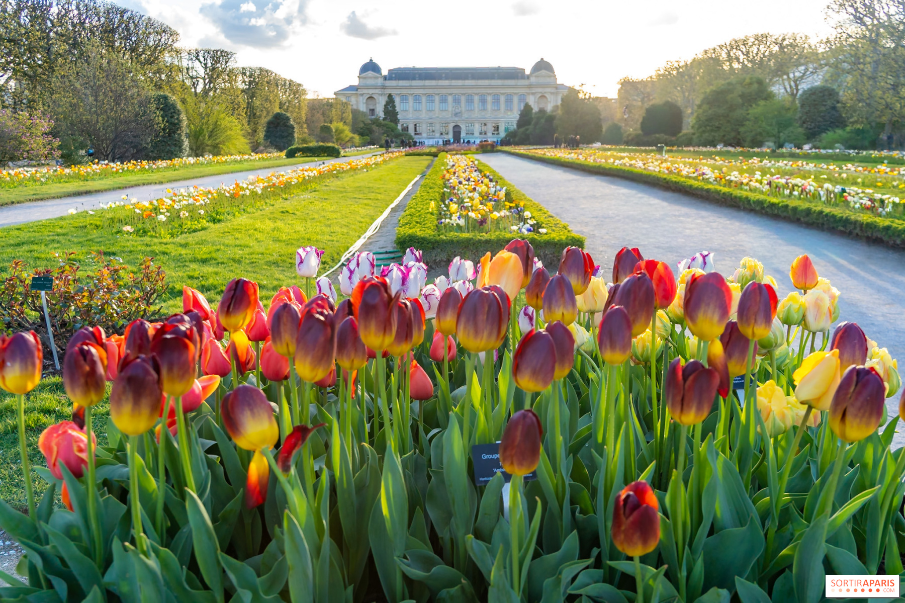 Greenhouses, workshops, gardens, the perfect spots for botany and plant ...