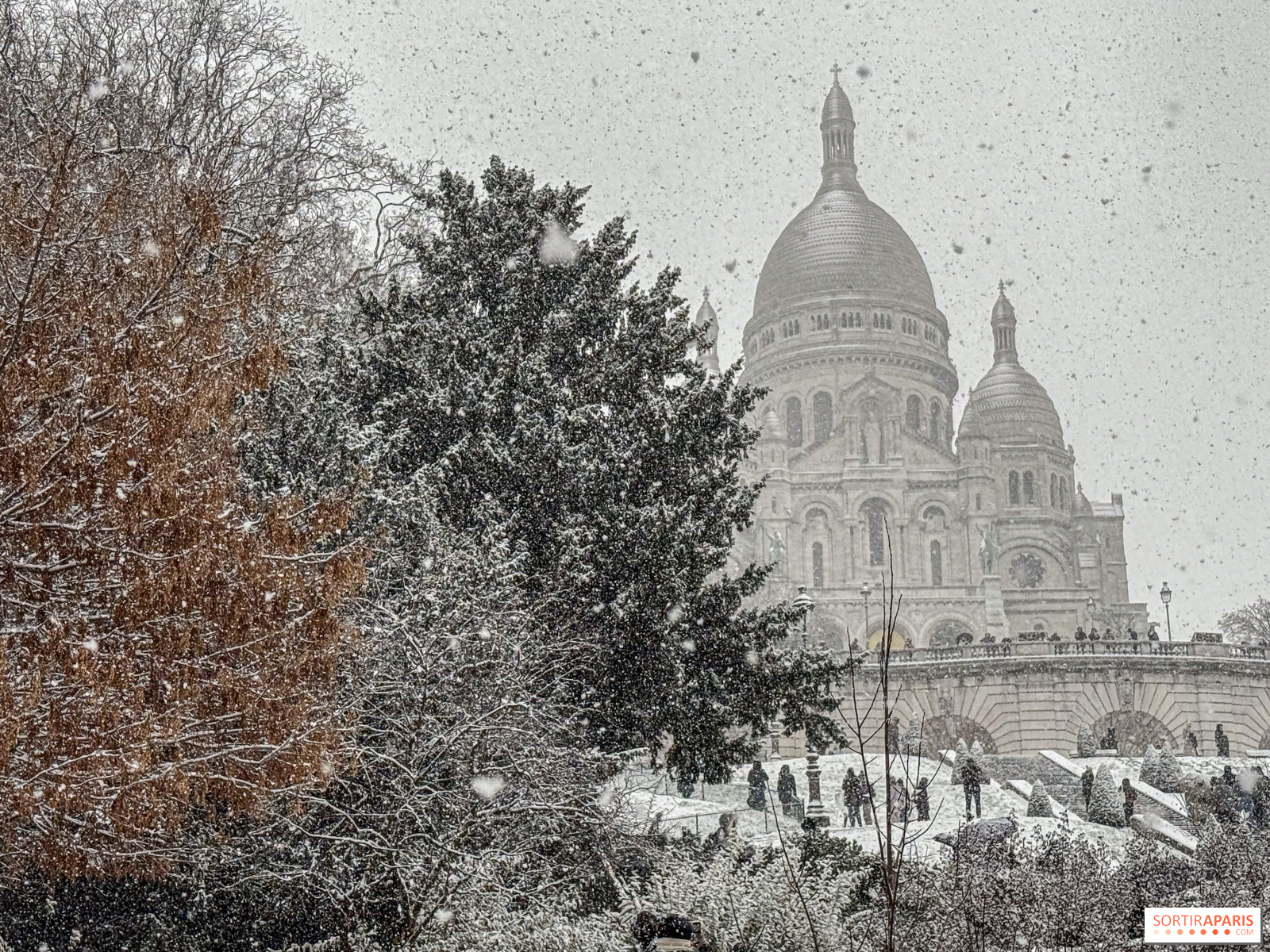 Neige à Paris et en Ile-de-France ce mercredi : transports, bus ...