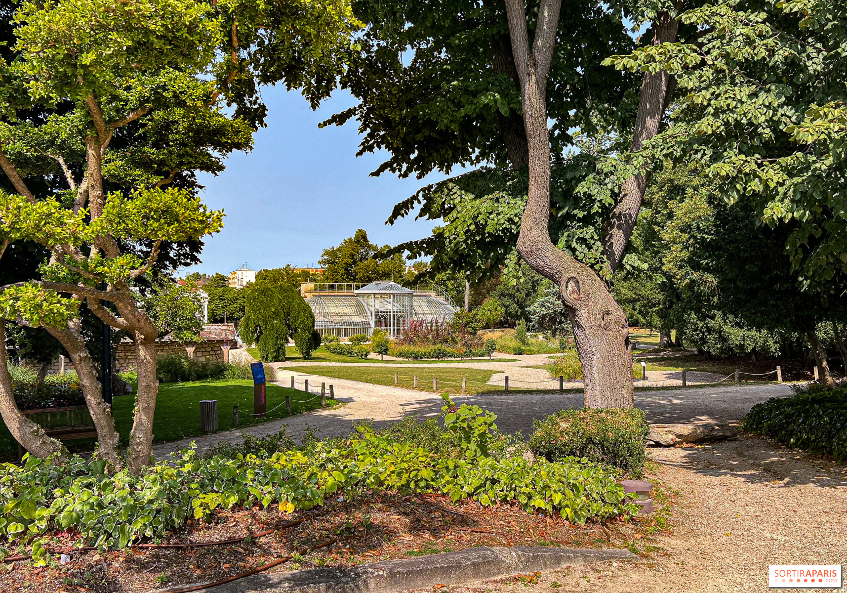 Color Run 2025 à Conflans-Sainte-Honorine (78) : course solidaire, jets de poudre colorée et DJ ...