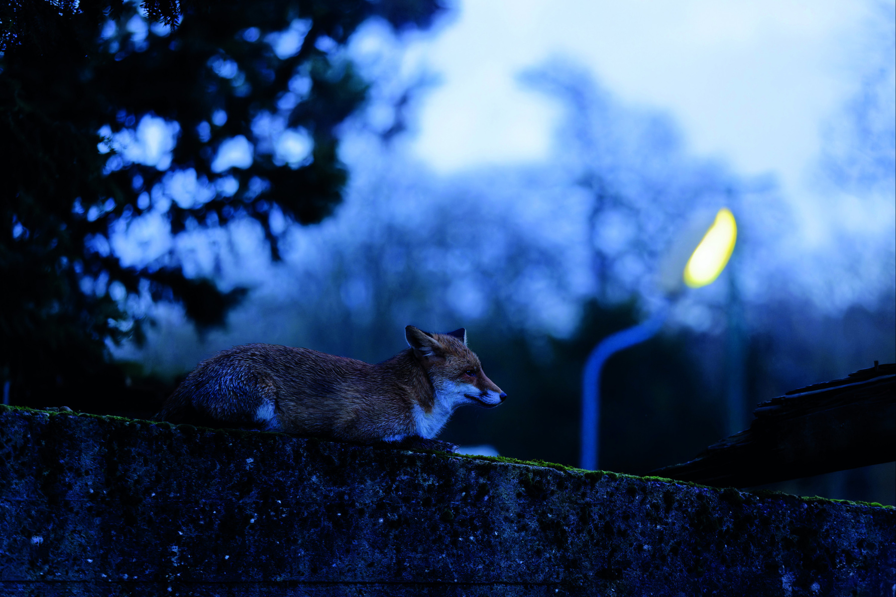 بينالي إيل دو فرانس للعمارة والمناظر الطبيعية: نظرة غير عادية على ...