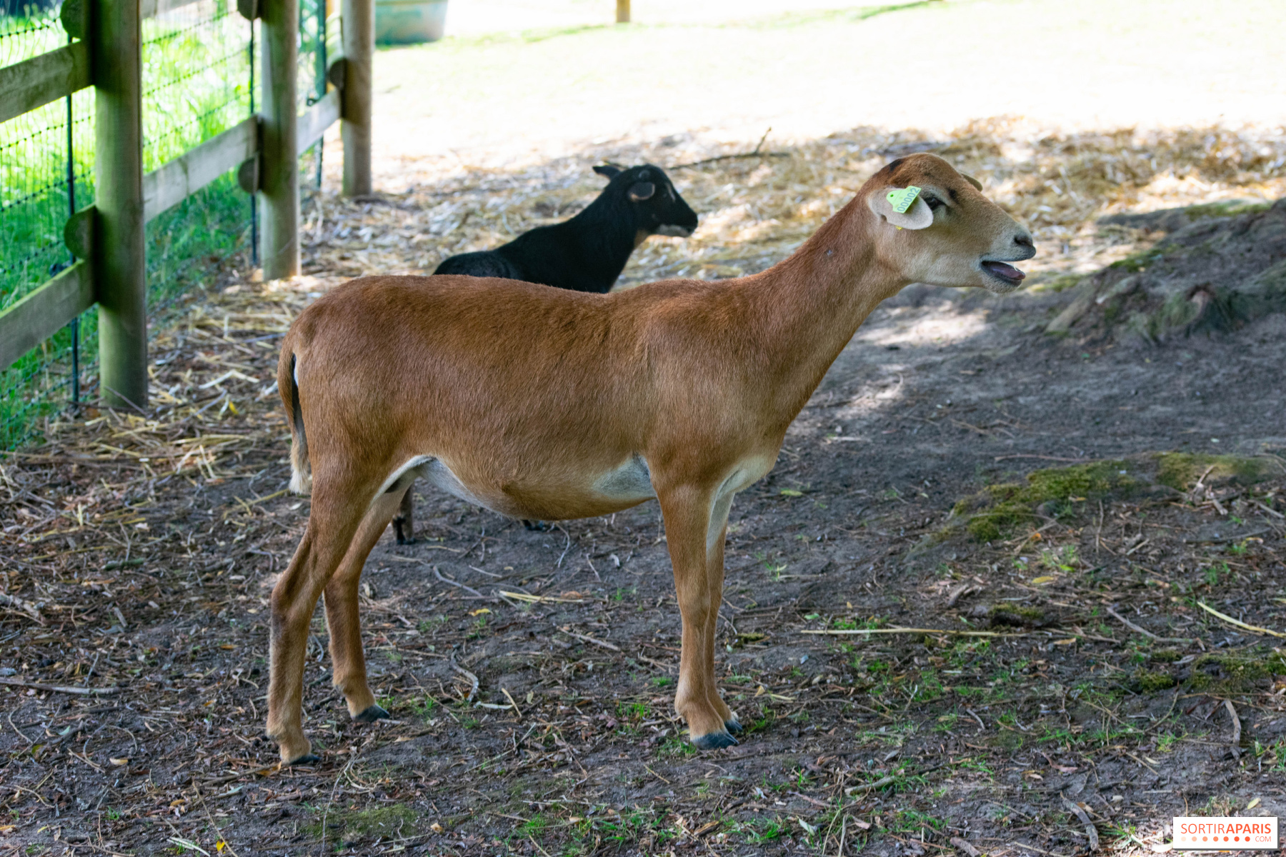 Album Photos Parrot World - les premières images