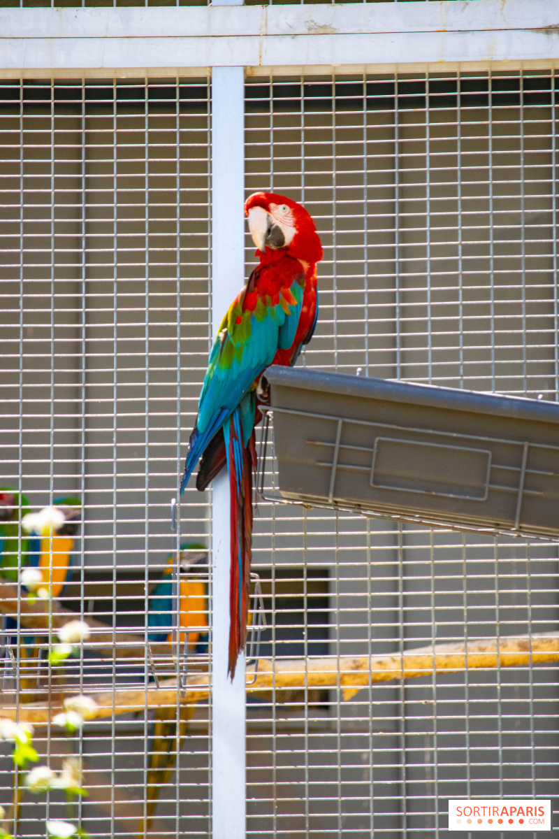 Album Photos Parrot World - les premières images