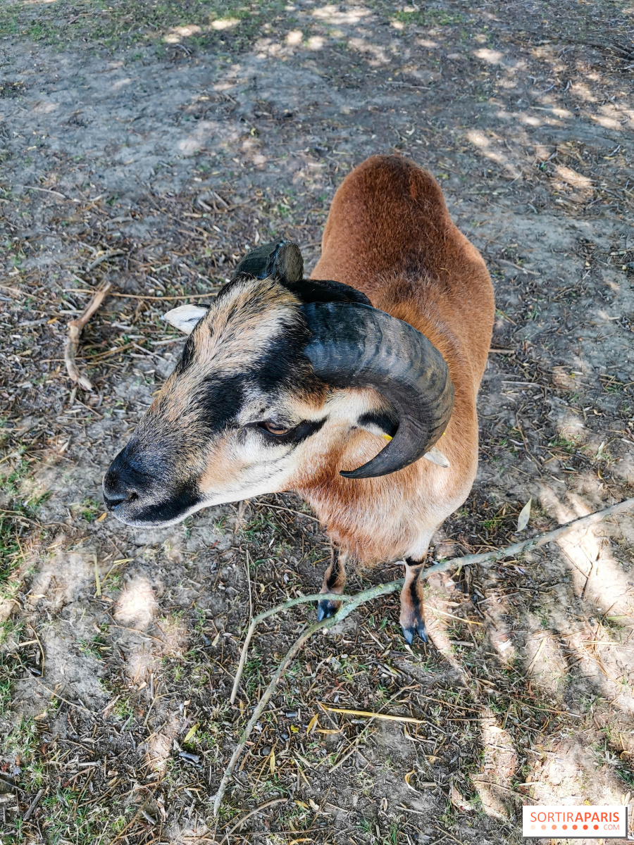 Album Photos Parrot World - les premières images