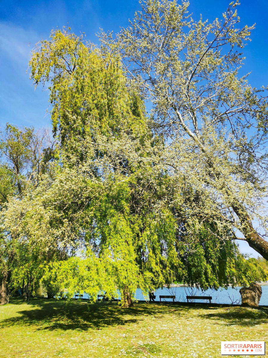 Album Photos Parc départemental Georges-Valbon