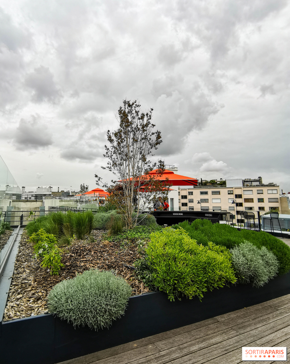 Album Photos Hôtel Canopy by Hilton Paris Trocadéro