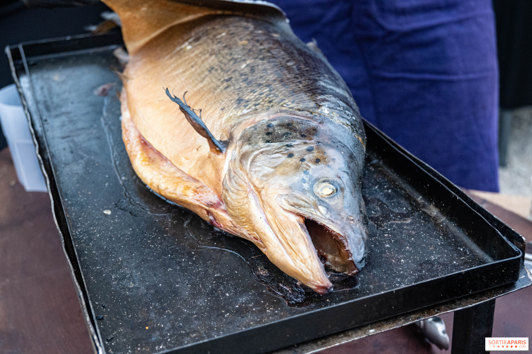 Cargo Container Bar, le bar festif en plein air revient sur les quais ...